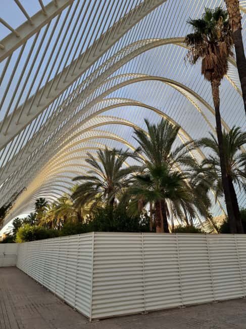 Valencia: Walking tour of the City of Arts and Sciences in Italian - Key Points