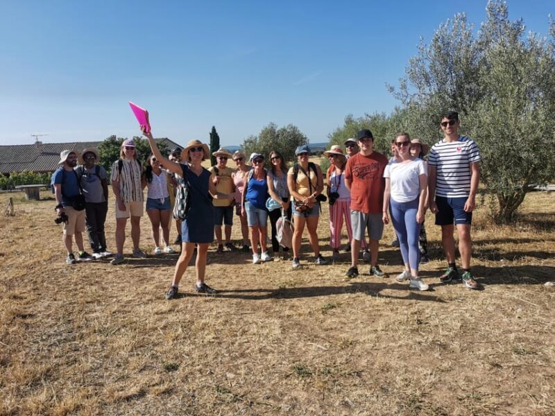 Valensole : Visit of a winery and lavender farm - An In-Depth Look at the Valensole Lavender and Winery Tour