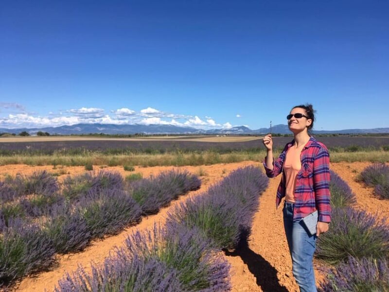 Valensole : Visit of a winery and lavender farm - The Sum Up