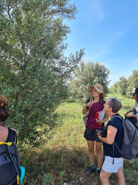 Valensole : Visit of a winery and lavender farm - FAQ