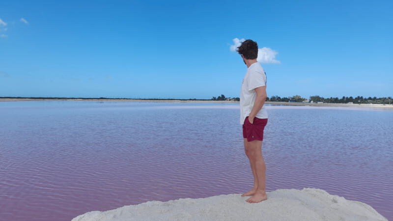 VALLADOLID: RIO LAGARTOS + LAS COLORADAS + CENOTE (SHARED TRIP) - Who Will Love This Tour?