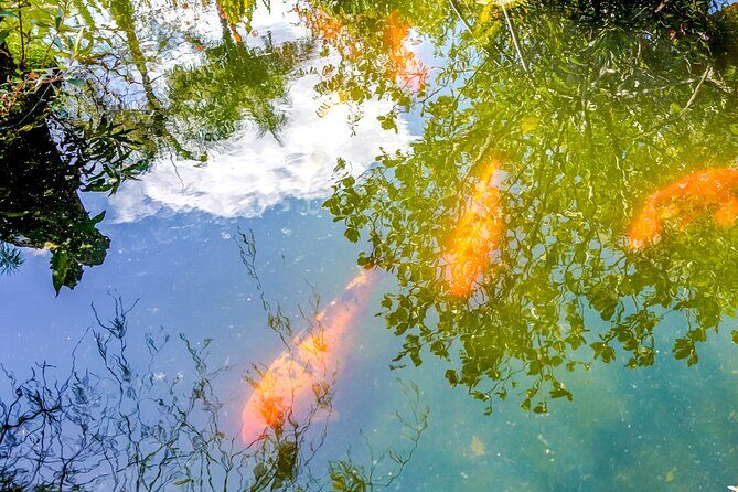 Vallarta Botanical Garden: Private Day Trip of Flora & Fauna - Who Should Consider This Experience?