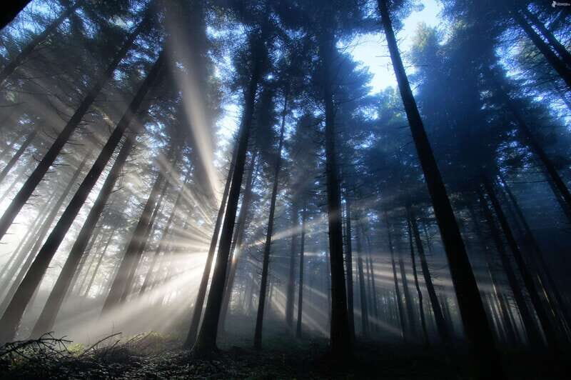 Valle de Bravo: Magical night at the forest - Practical Tips for Visitors