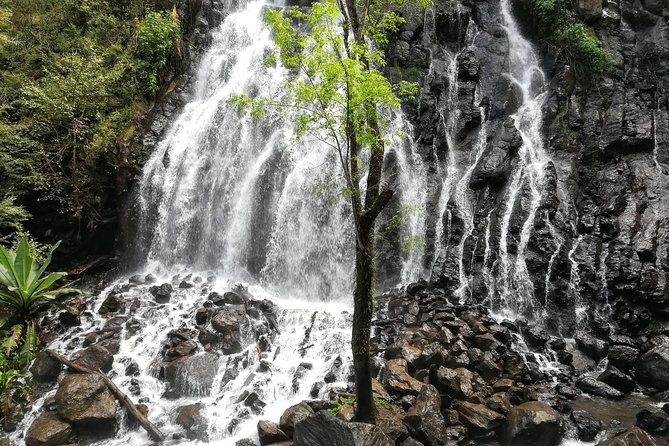 Valle de Bravo: Private & Small group tour from Mexico City - Who Will Love This Tour?