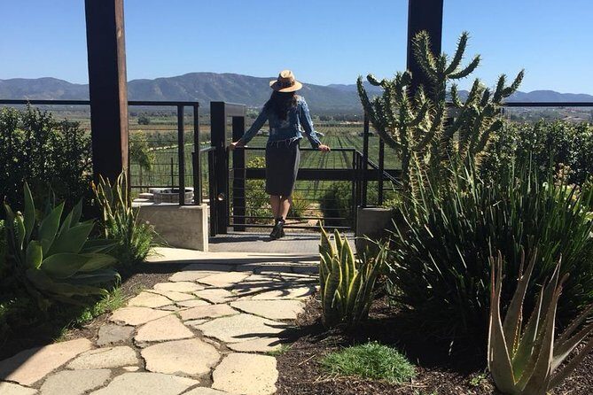 Valle de Guadalupe COUPLES wine tasting for 2 - Exploring the Valle de Guadalupe Private Wine Tour