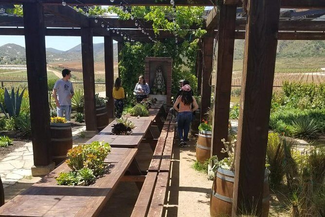 Valle de Guadalupe COUPLES wine tasting for 2 - The Value of This Tour