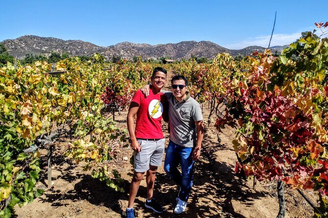 "Valle de Guadalupe", Live, Enjoy and Meet the Golden Valley - An In-Depth Look at the Valle de Guadalupe Tour