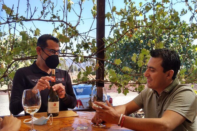 "Valle de Guadalupe", Live, Enjoy and Meet the Golden Valley - Frequently Asked Questions