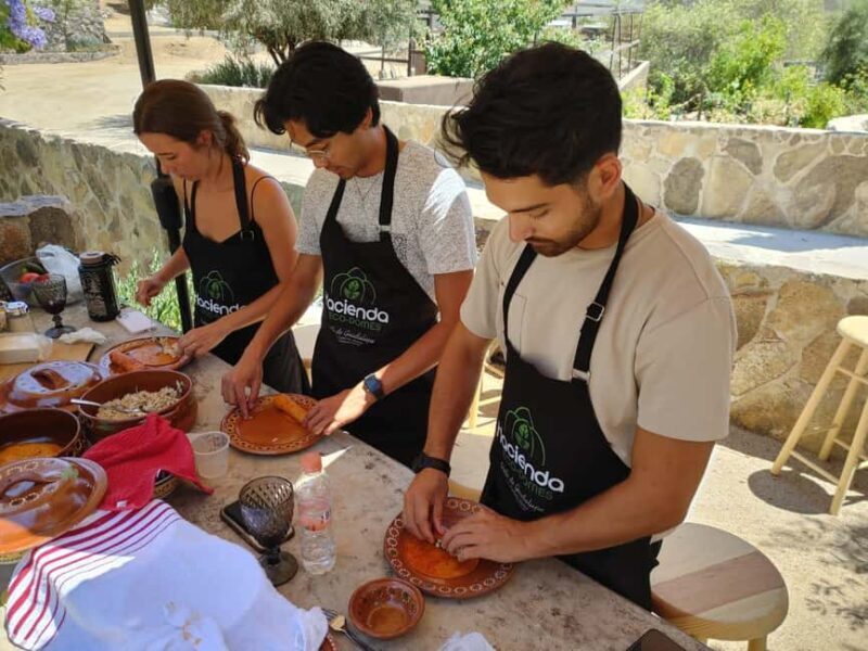 Valle de Guadalupe: Mexican Cooking at Hacienda Eco-Domes - What is the Hacienda Eco-Domes Cooking Tour?