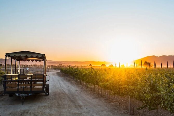 Valle de Guadalupe Premium Wine & Vineyard Wagon Tour - Key Points