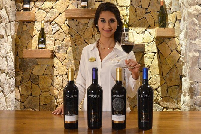 Valle de Guadalupe Premium Wine & Vineyard Wagon Tour - What Travelers Should Know