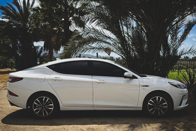 Valle de Guadalupe Private Transportation - Key Points