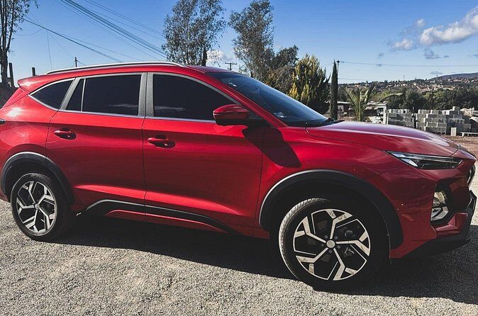 Valle de Guadalupe Private Transportation - Who Will Love This Tour?