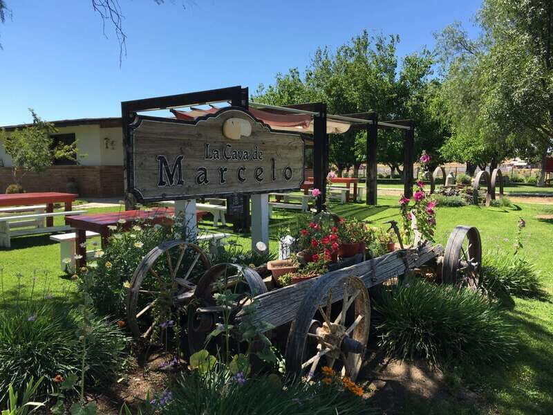 Valle de Guadalupe: Wine & Cheese Tour - Exploring Baja California’s Wine & Cheese Scene