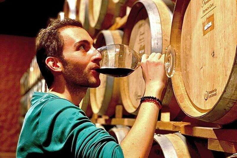 Valle de Guadalupe: Wine Tasting and Wagon Tour - A Closer Look: What You Can Expect