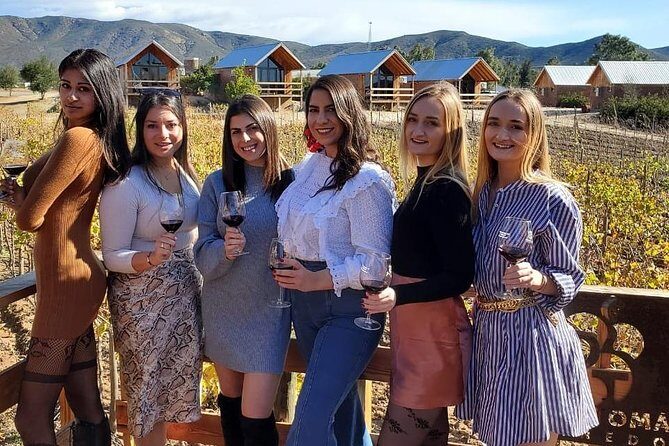 Valle de Guadalupe Wine Tour - Exploring the Valle de Guadalupe Wine Tour: A Deep Dive into Baja’s Wine Country