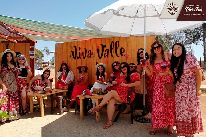 Valle de Guadalupe winery and brewery tours - The Sum Up