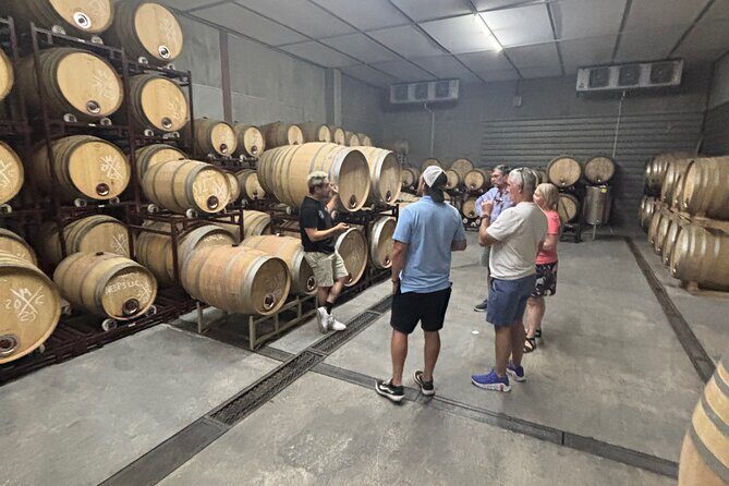 Valle Tour Concierge - Exploring Valle Tour Concierge: An Authentic Baja Wine Journey