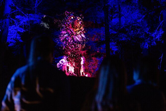 Vallea Lumina Multimedia Evening Experience - FAQs