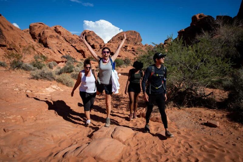 Valley of Fire Guided Hiking Tour & Mojave Desert Adventure - The Experience From the Reviews