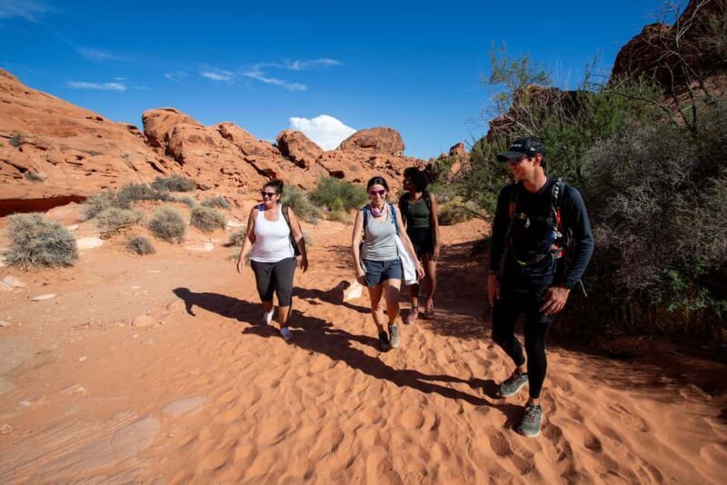 Valley of Fire Guided Hiking Tour & Mojave Desert Adventure - Final Thoughts