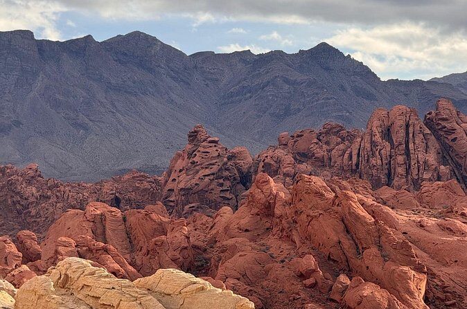 Valley of Fire Private Tour by 4WD - Who Will Love This Tour?
