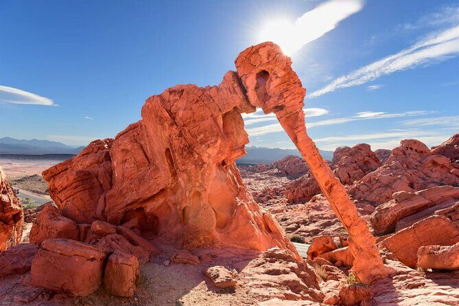 Valley of Fire, Seven Magic Mountains & Vegas Sign Tour - What Sets This Tour Apart