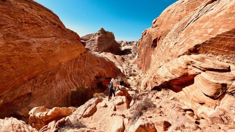 Valley of Fire VIP Small Group Tour From Las Vegas - What’s Included and What’s Not