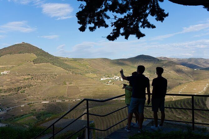 Valley of the Douro and Amarante Wine Gastronomy and Boat Tour - Highlights Based on Reviews and Experience