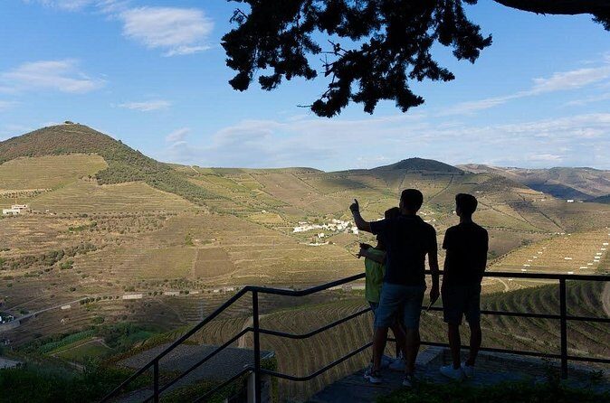 Valley of the Douro and Amarante Wine Gastronomy and Boat Tour - Potential Drawbacks and Considerations