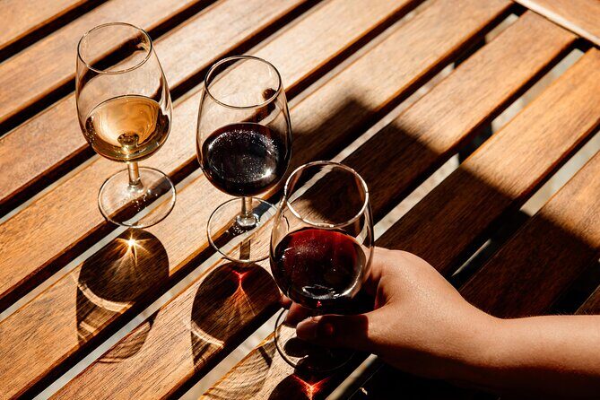 Valley of the Douro and Amarante Wine Gastronomy and Boat Tour - Final Thoughts