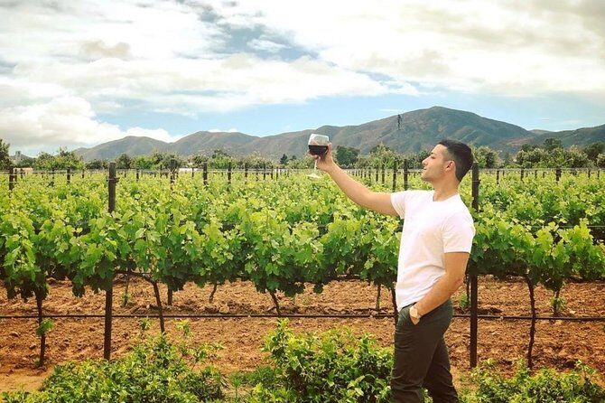 Valley tour /Bakuss/bloodlust/Relief/restaurant Elena/justina - FAQs