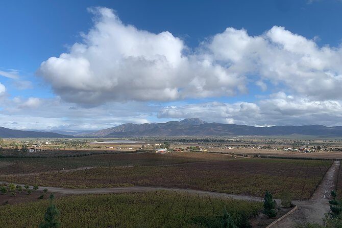 Valley tour /Bakuss/bloodlust/Relief/restaurant Elena/justina - Final Thoughts