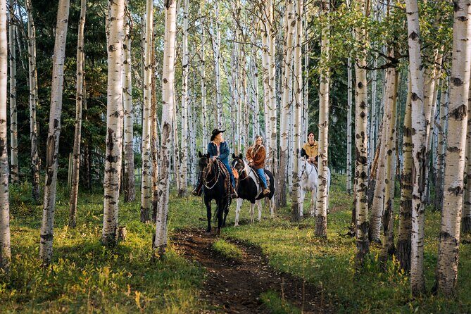 Valley Vista 1.5 Hour Horseback Trail Ride in Kananaskis - Authentic Experiences from Reviewers