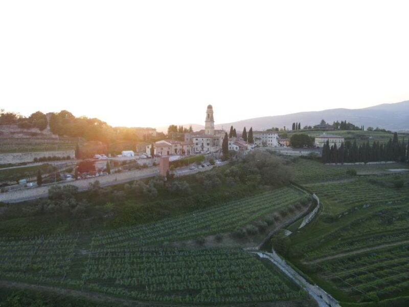 Valpolicella: Panoramic Wine Tasting - The Sum Up: Is It Worth It?