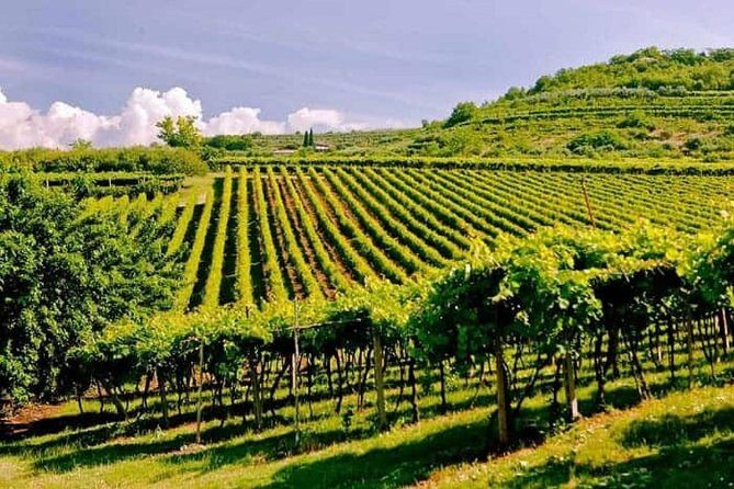 Valpolicella - The wine paradise - Introduction
