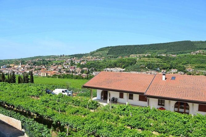 Valpolicella - The wine paradise - Key Points