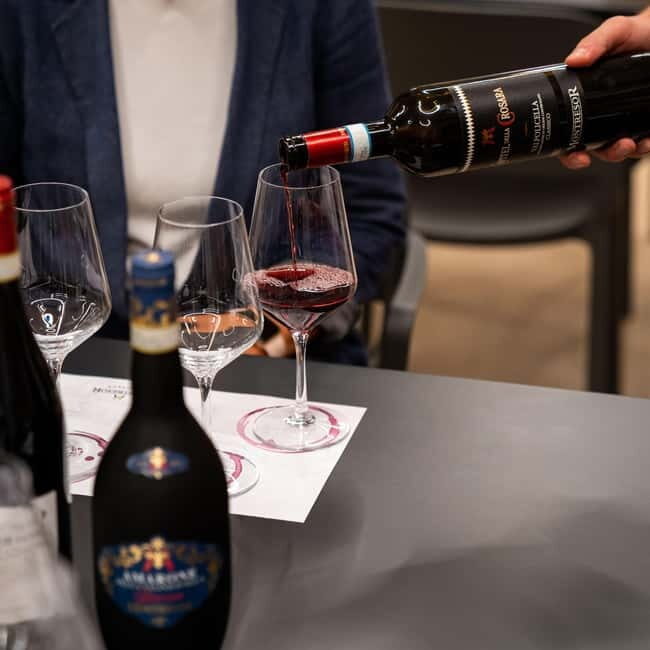 Valpolicella Wine Museum: E-bike rental with App and Tasting - Practical Details and Value