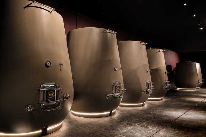 Valpolicella Wine Tasting Experience & Light Lunch - Who Will Love This Experience?