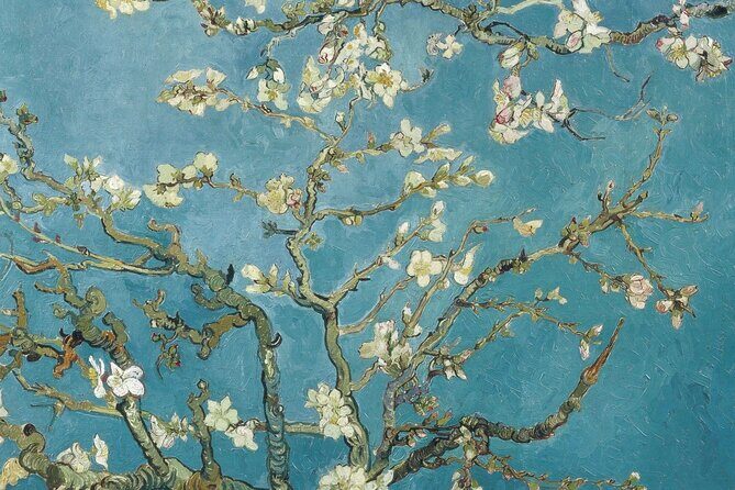 Van Gogh Museum Amsterdam Private Guided Tour With Admission - The Experience: What You Can Expect