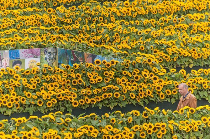 Van Gogh Museum Skip the Queue with Audio Guide - Pricing and Value