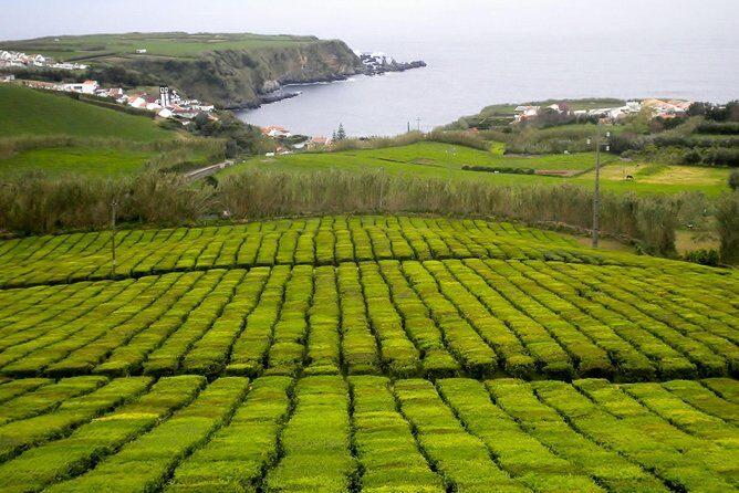Van Tour Nordeste - FAQ