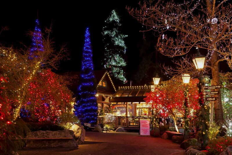 Vancouver and Capilano Suspension Bridge Canyon Lights - FAQs