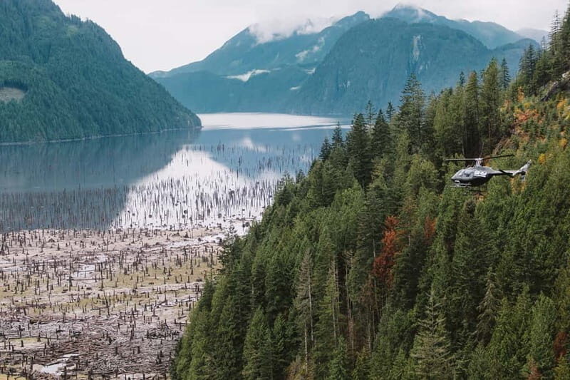 Vancouver: BC Backcountry Helicopter Tour - Vancouver: BC Backcountry Helicopter Tour — An In-Depth Review