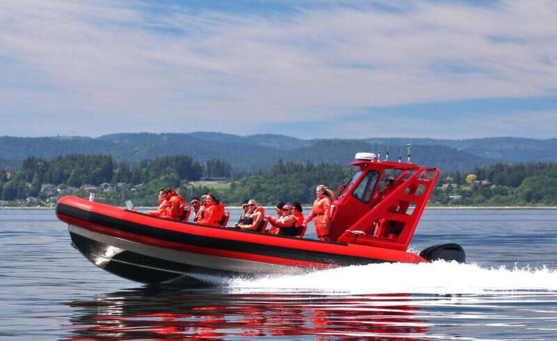 Vancouver, BC: Whale Watching Tour Small Zodiac with Guide - Key Points