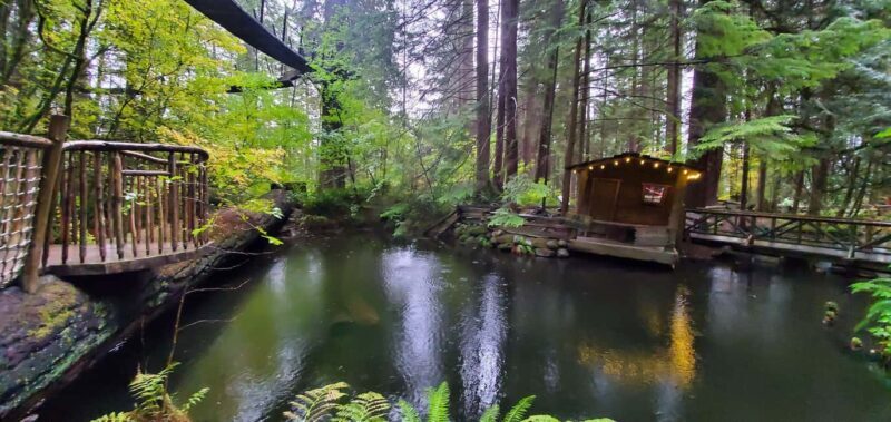 Vancouver: Capilano Bridge, Cleveland Dam & Lynn Canyon Tour - FAQ