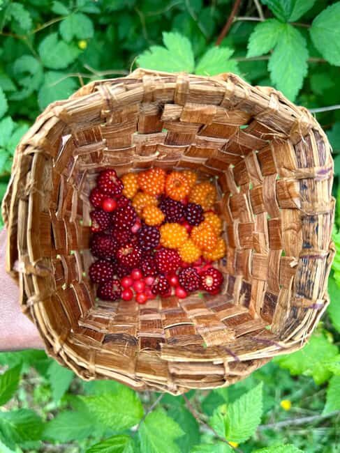 Vancouver: Capilano River Hatchery Love the Land Tour - Key Points
