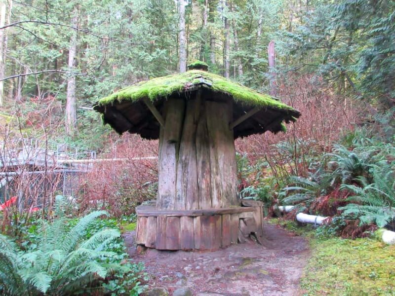 Vancouver: Capilano River Hatchery Love the Land Tour - A Closer Look at the Tour Experience