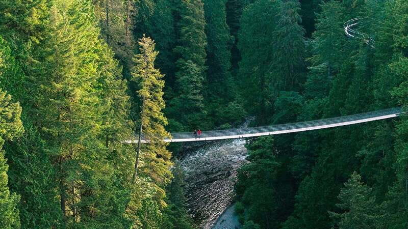 Vancouver: Capilano Suspension Bridge Park Ticket - Key Points