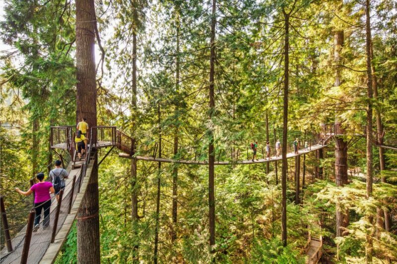 Vancouver: Capilano Suspension Bridge Park Ticket - FAQ